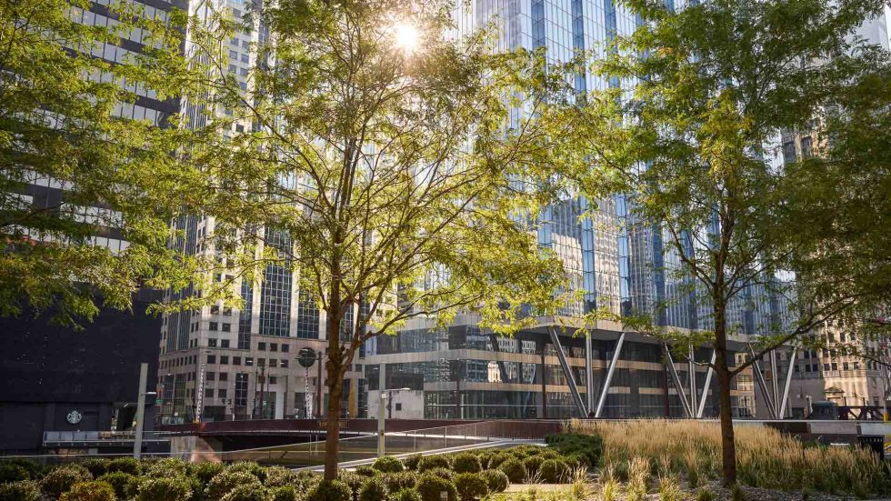 Master of City and Regional Planning (MCRP) | Edward J. Bloustein ...