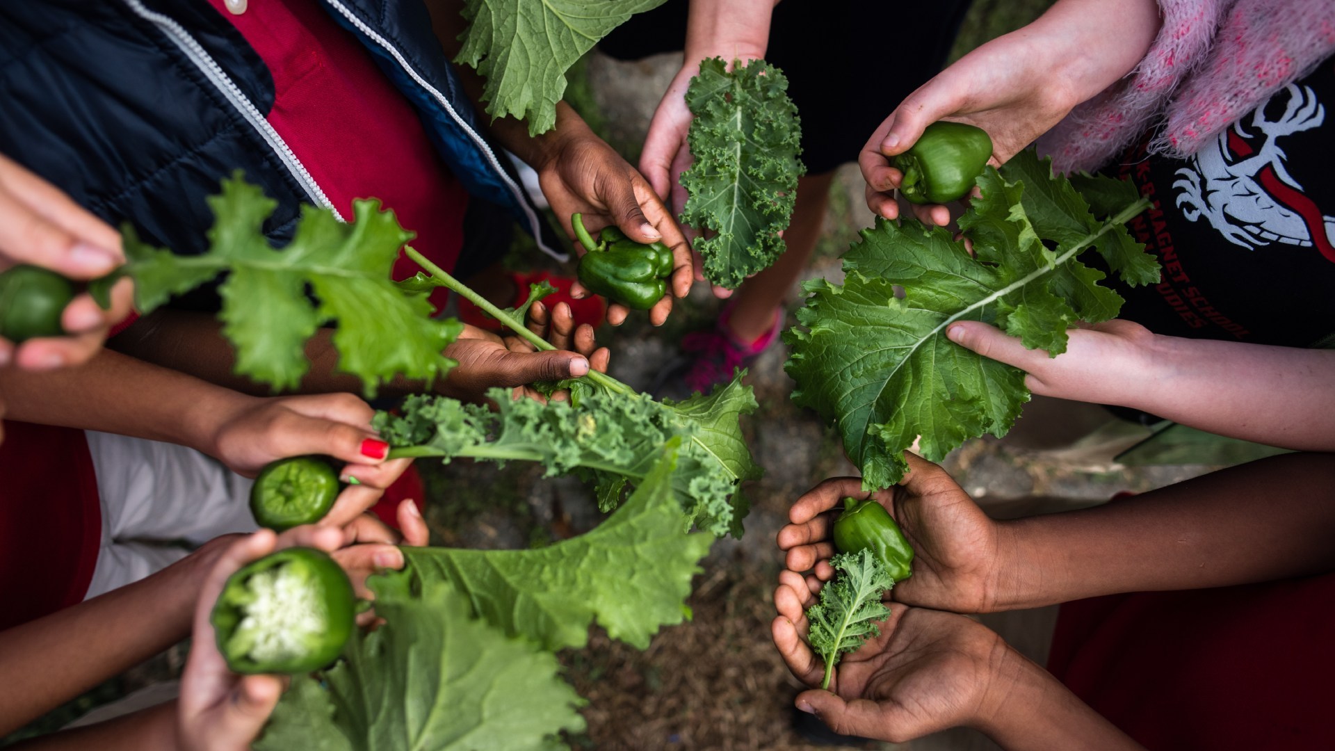 Food Security Research - Edward J. Bloustein School of Planning ...