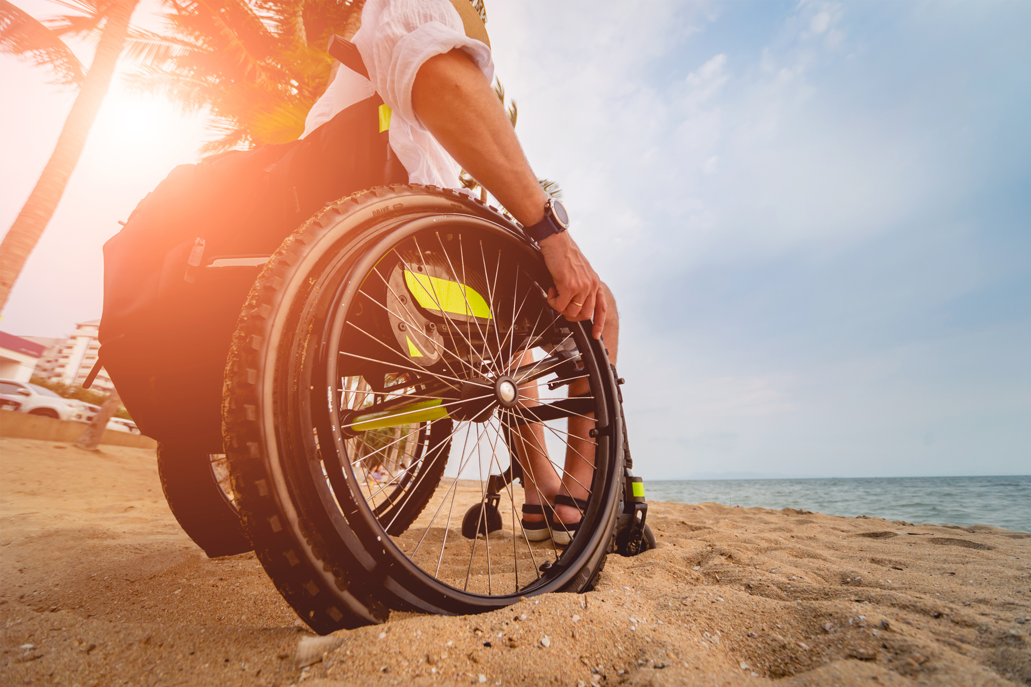 NJDHS, DEP Tour Recreational Area in Pinelands to Spotlight Making ...